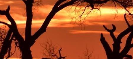 Red Cloud, Nebraska - America's Most Famous Small Town